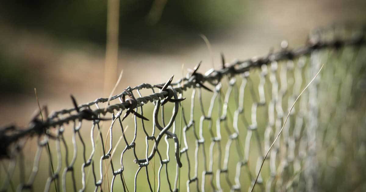 Invisible Fences - Kimberly Roddy